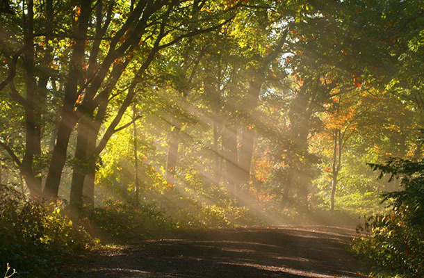 Light, time & landscape | Nulty | Lighting Design Consultants